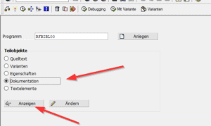 SAP: So funktioniert RFBIBL00 (mit Beispielcode)