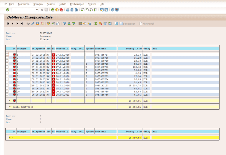 SAP Kreditor und Debitor verstehen: Stammdaten, Transaktionen und Tabellen