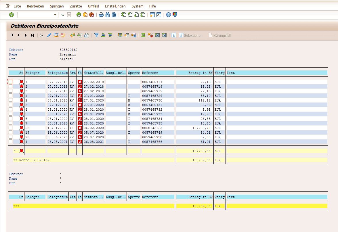 SAP Kreditor und Debitor verstehen: Stammdaten, Transaktionen und ...